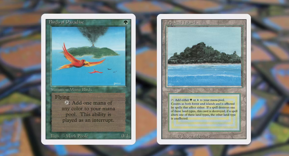 The Gathering Artists – Mark Poole – The Edge-Man